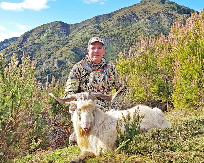 NZ Hunting